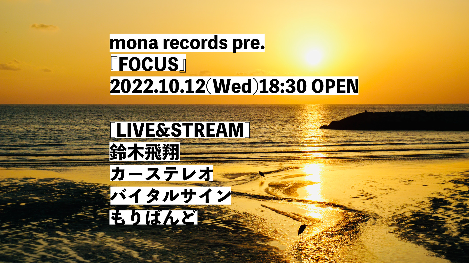 FOCUS | mona records 下北沢のライヴスペース＆音楽レーベル