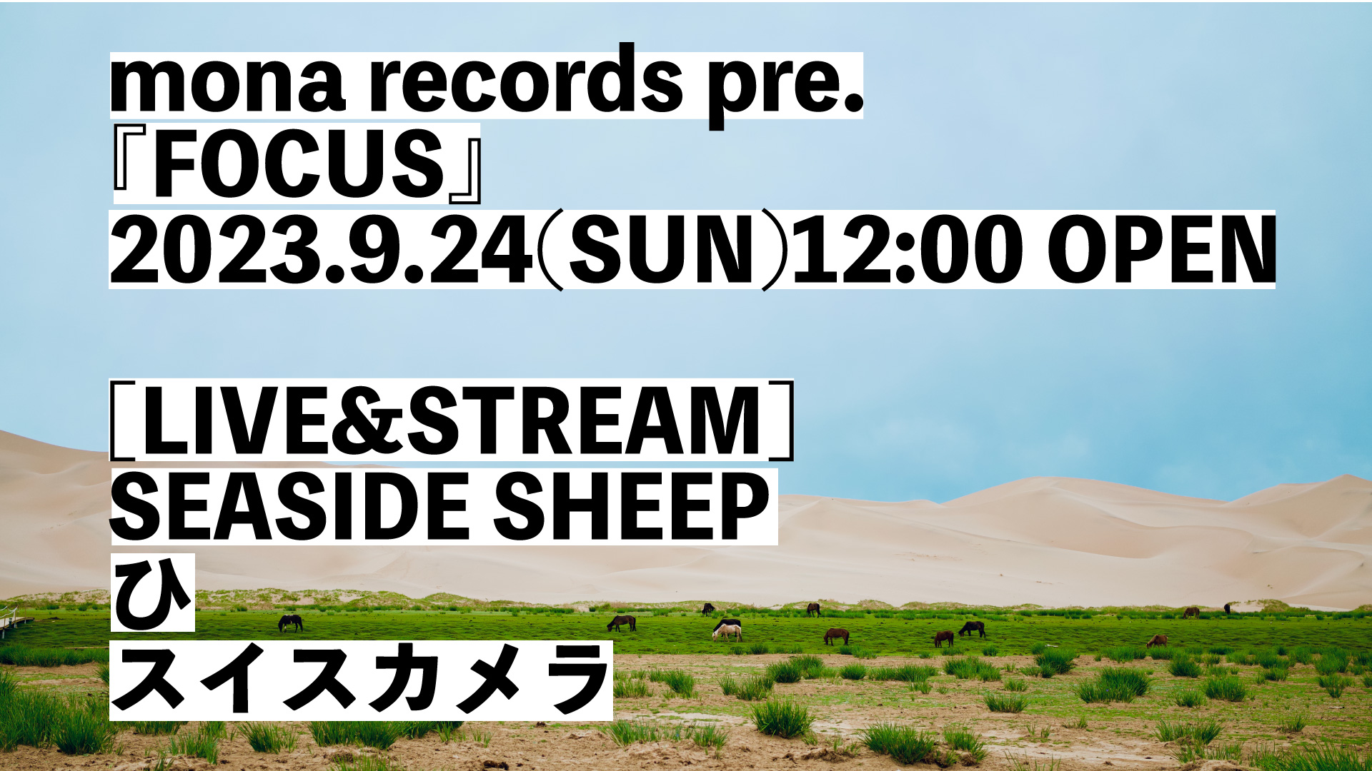 FOCUS | mona records 下北沢のライヴスペース＆音楽レーベル