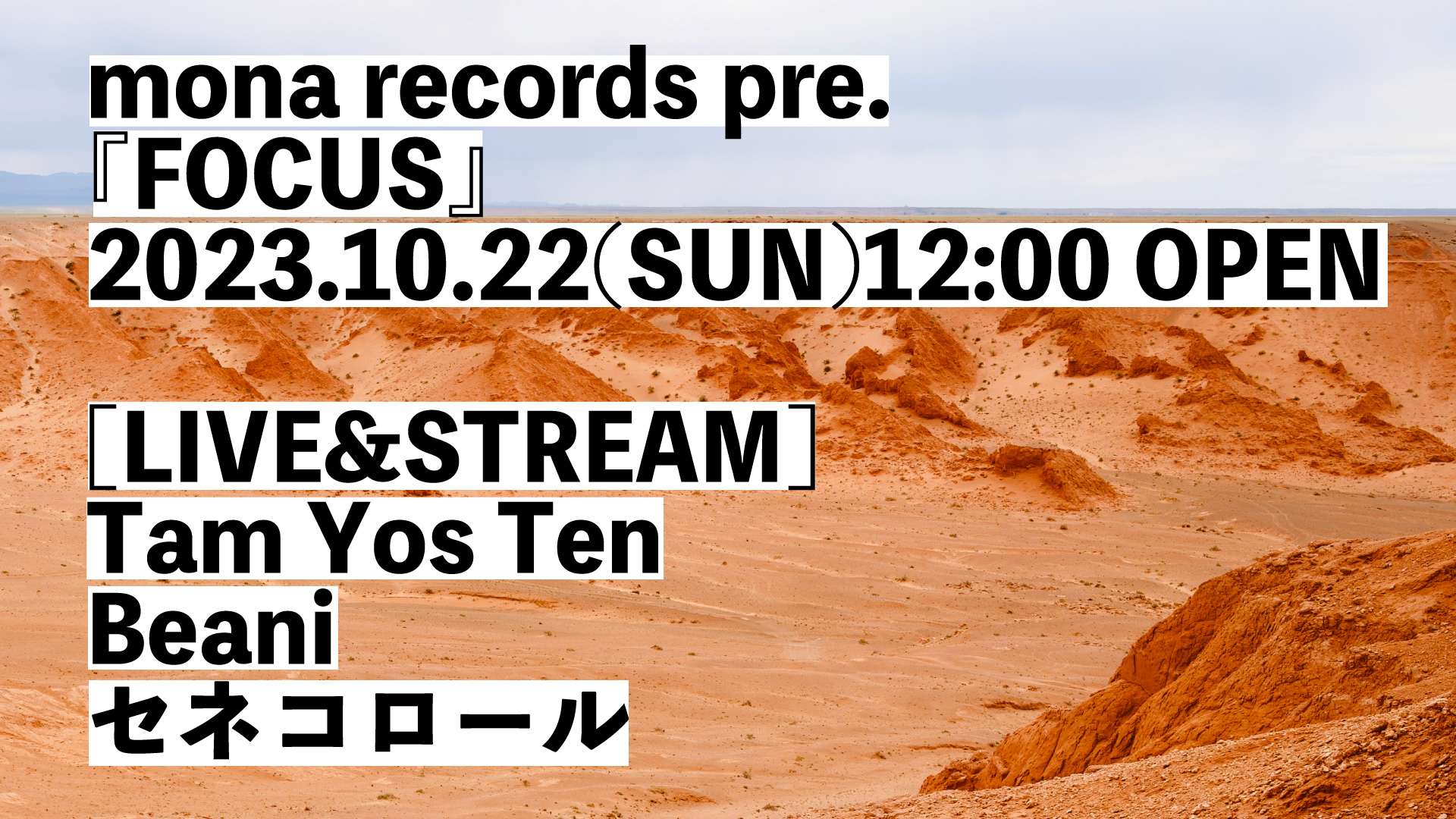 FOCUS | mona records 下北沢のライヴスペース＆音楽レーベル